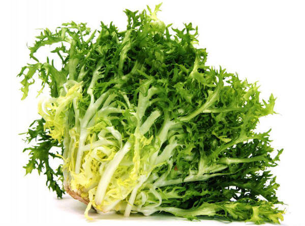 Chicória Refogada: Informação Nutricional - Fitness Magazine