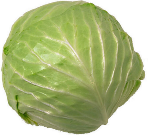 Repolho ao molho branco: Informação Nutricional - Fitness Magazine